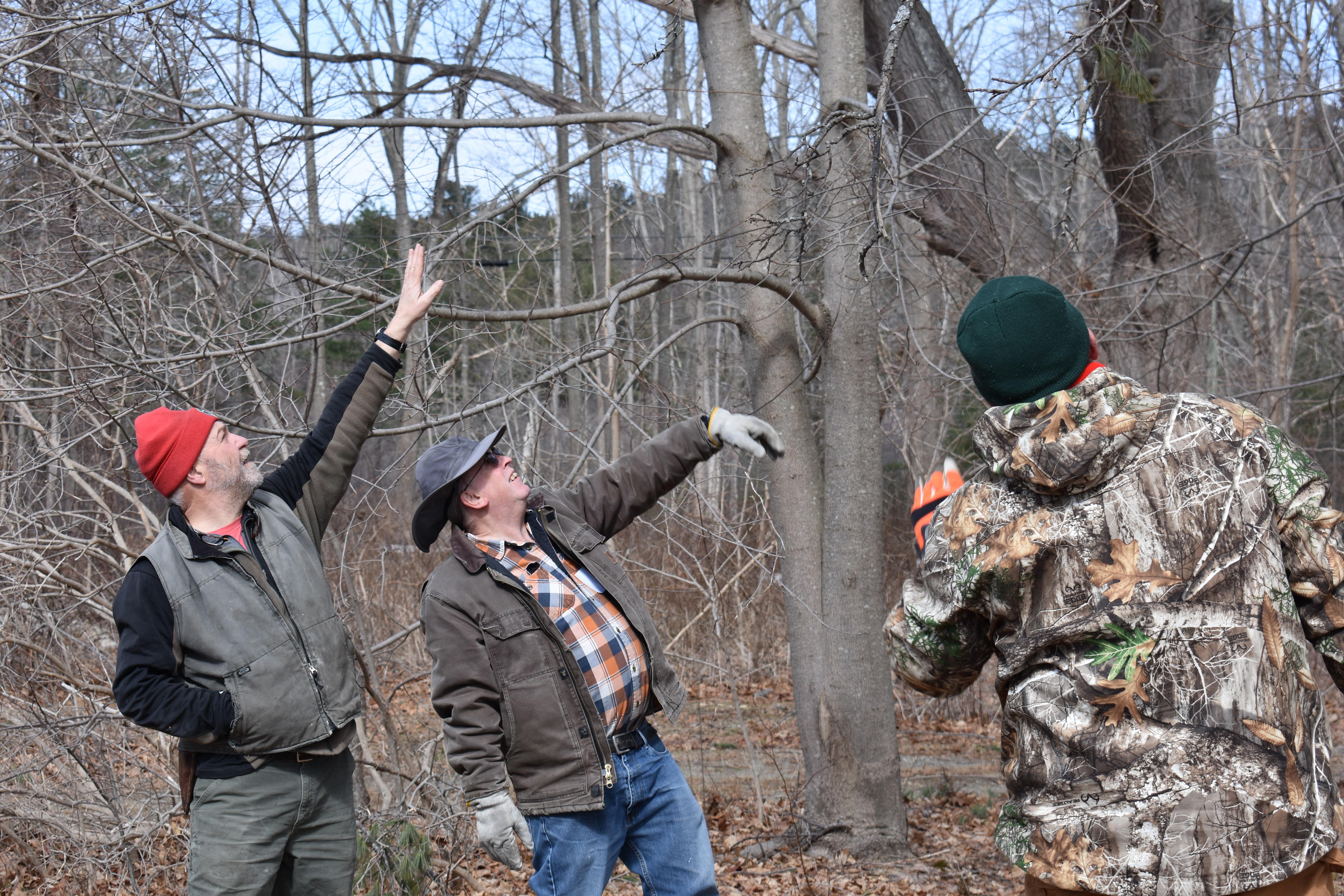 Pruning is a Personal Process | Forest Society