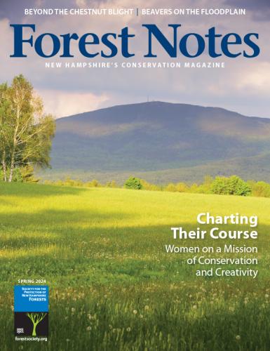 Forest Notes | Forest Society