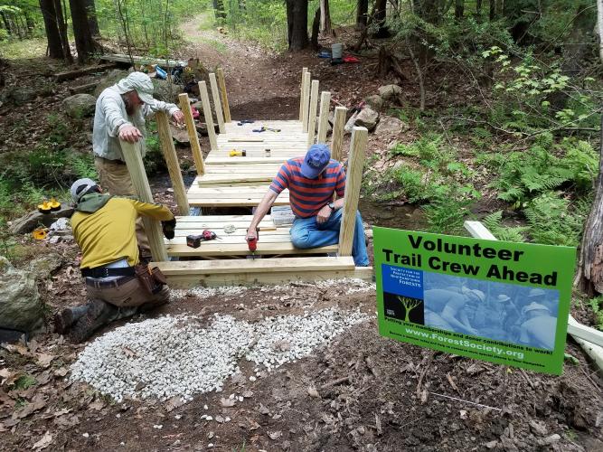 Building Bridges Builds Community | Forest Society