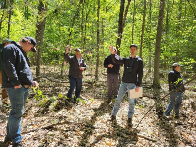 Forestry Field Trip to Learn More About Beech Leaf Disease | Forest Society