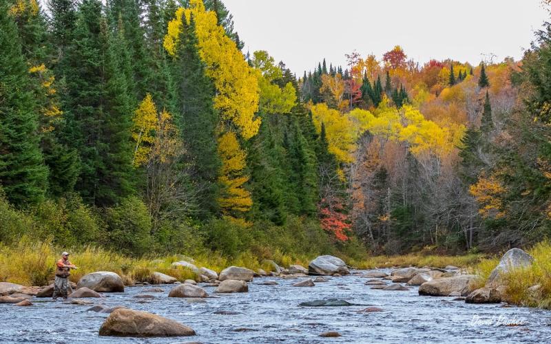 Press Release: Forest Society Protects 1.8 Miles Along the Ammonoosuc ...