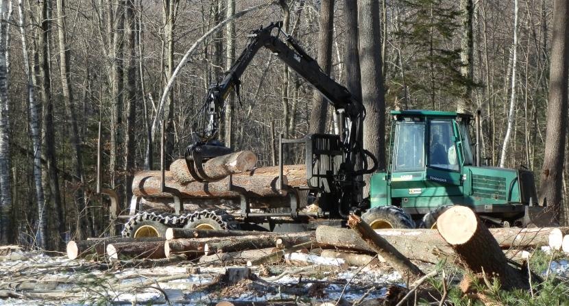 Timber Harvesting | Forest Society