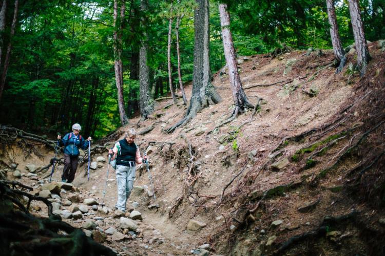 Your Guide to Recreating Responsibly and Safely on Mount Major | Forest ...