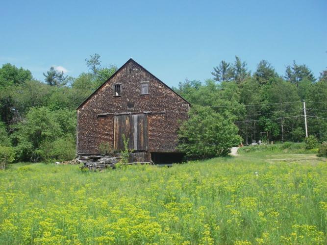 Requiem for New Hampshire Bats? | Forest Society