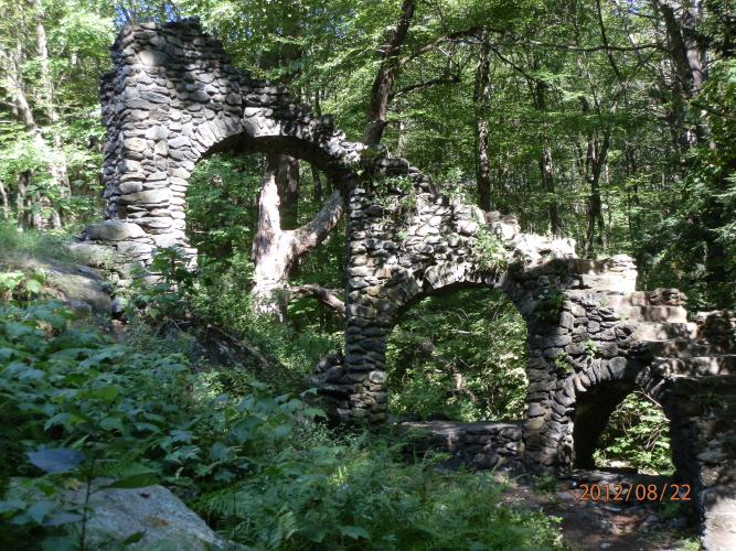 Forest Reservation Challenge: Madame Sherri Forest | Forest Society