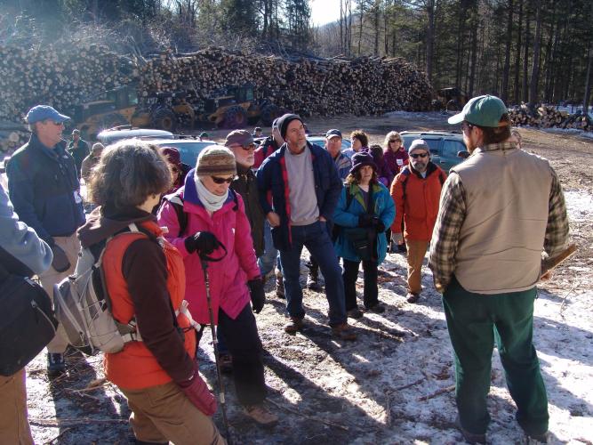 Timber Harvesting | Forest Society