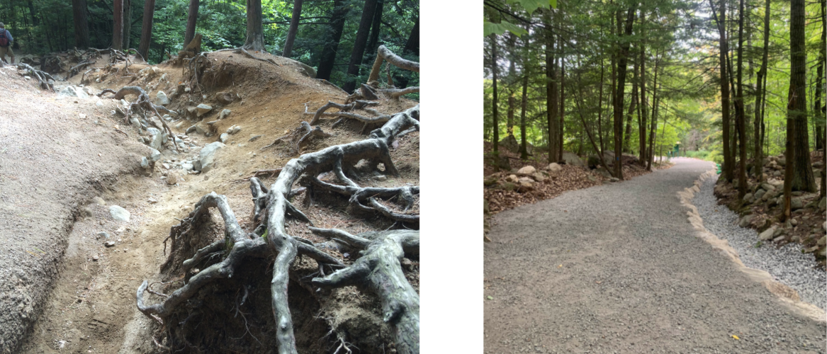 We Need Your Help! Support Sustainable Trail Improvements at Mount ...