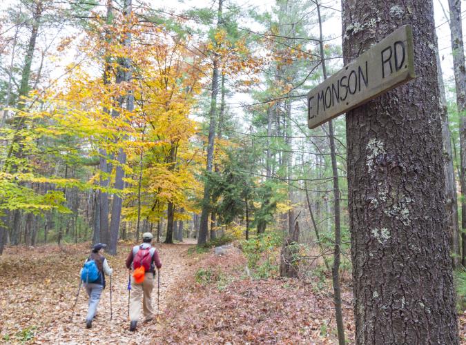 Forest Reservation Challenge: Monson Center | Forest Society